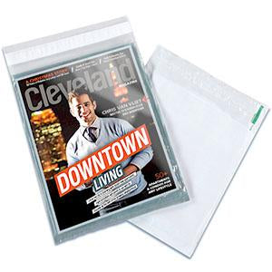 Clear Poly Envelopes: Buy Document Envelopes, Protective Envelopes