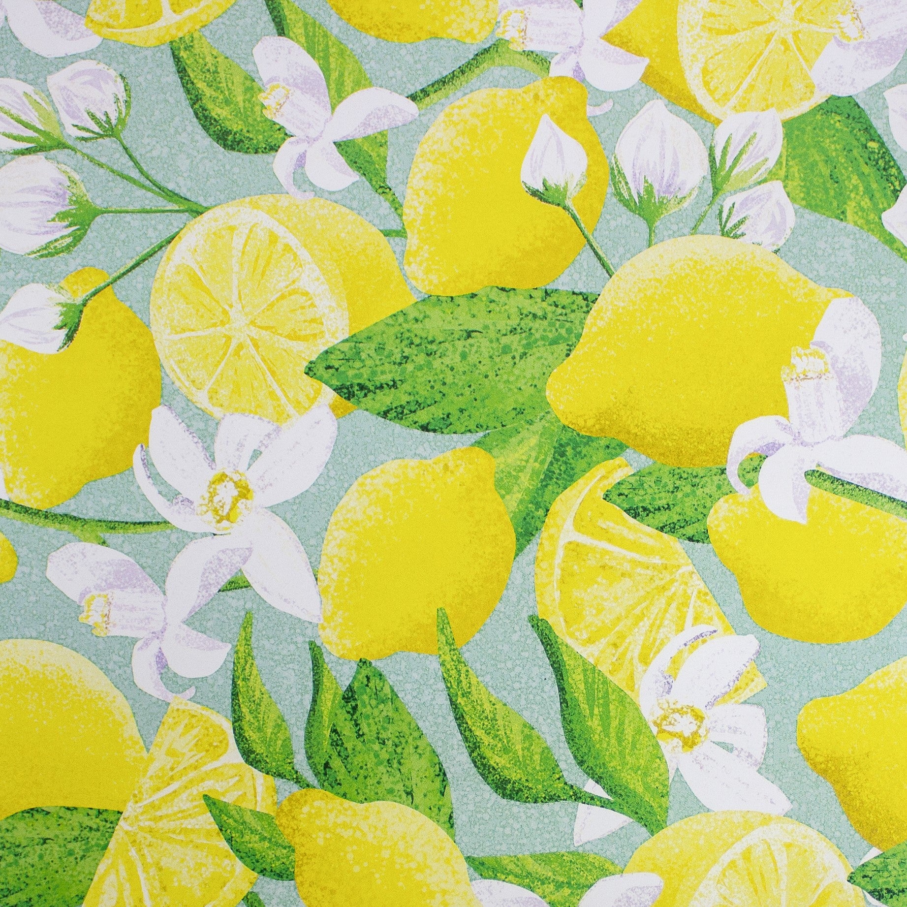 24" x 417 Feet Lemon Fresh Half Ream Gift Wrap