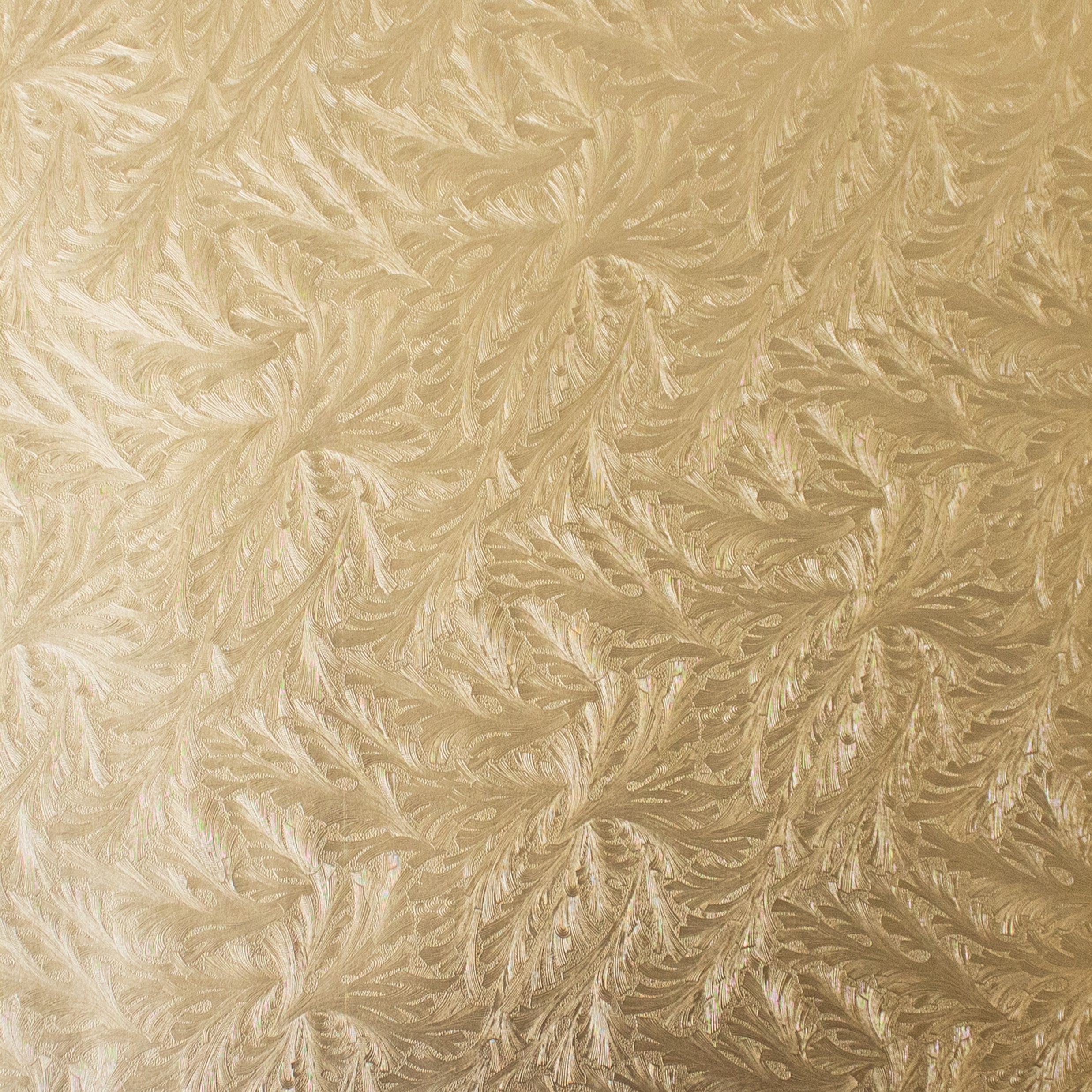 24" x 833 Feet Pale Gold Akita Full Ream Gift Wrap