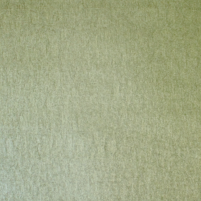 24" x 417 Feet Rosemary Half Ream Gift Wrap