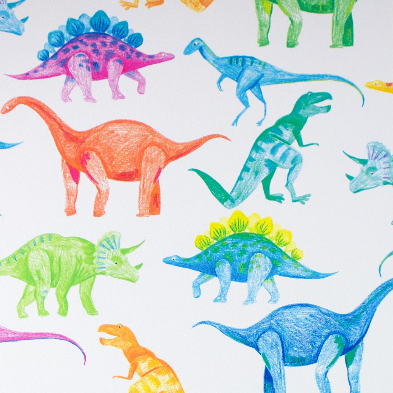 24" x 417 Feet Sketchy Dinosaurs Half Ream Gift Wrap