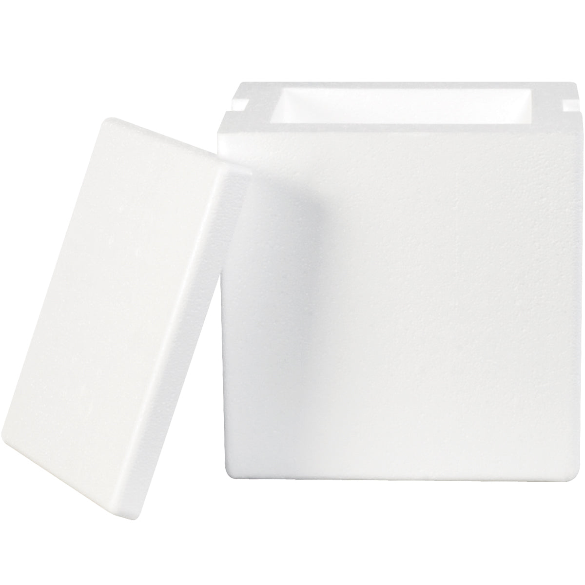 8 x 6 x 9 Insulated Foam Containers