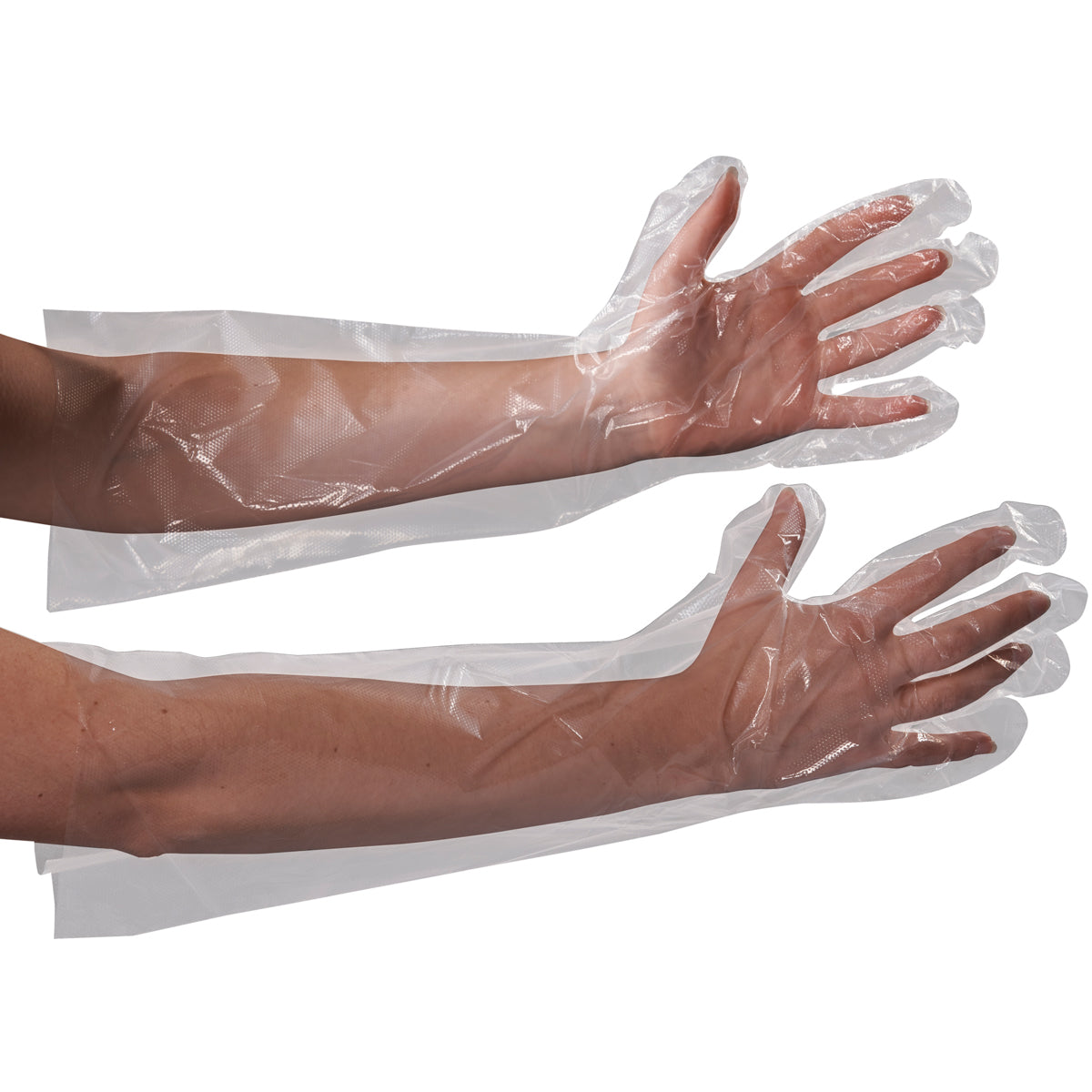 Clear Poly Gloves 18 Elbow Length
